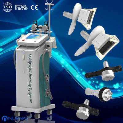 Fat Freezing fat removal weight loss cryolipolysis slimming machine for beauty spas