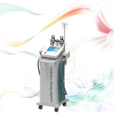 Fat Freezing fat removal weight loss cryolipolysis slimming machine for beauty spas