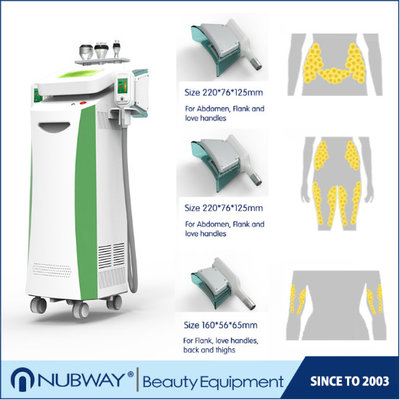2016 newst!! cryolipolysis cavitaion and RF 3 in1 / cryolipolysis fat reduction salon beauty equipment