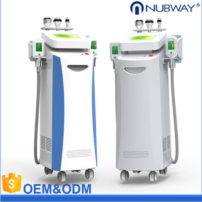 5 handles cool sculpting/cryolipolysis wight loss fat removal salon beauty equipment with CE approved