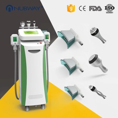 5 handles cool sculpting/cryolipolysis wight loss fat removal salon beauty equipment with CE approved