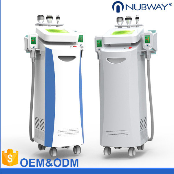 5 handles cool sculpting/cryolipolysis wight loss fat removal salon beauty equipment with CE approved