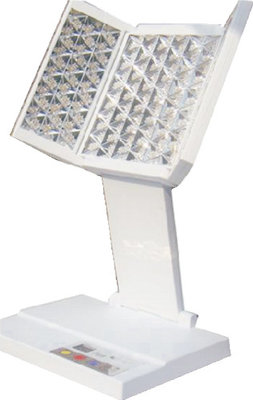 China Portable PDT Beauty Machine For Anti - ageing And Deep Wrinkle Removal supplier
