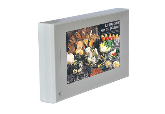 4.3 Inch Mini LCD Advertising Display ,Digital Panel RHOS Media Player 95.04 x 53.856mm