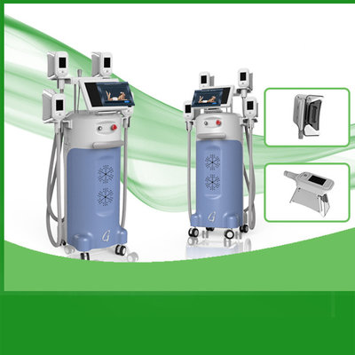 Best cooling system cryolipolysis body slimming machine on sale