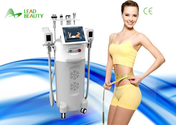 Factory promotion price fat loss cryo slimming machine for the whole body