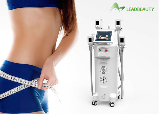 Newest ce approval cryolipolysis slimming machine with 12 inch big touch screen