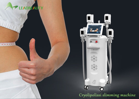 4 cryo handles weight loss cryolipolysis slimming with high quality and 12 inch screen