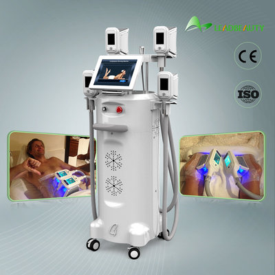 2018 Newest Cryolipo Beauty Salon Equipment / Fat Freezing Beauty Salon Equipment / Lipo Cryo