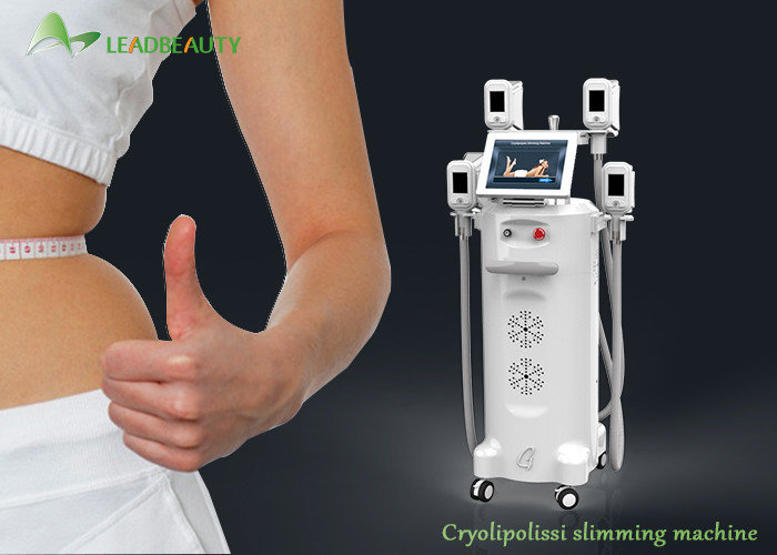 4 cryo handles weight loss cryolipolysis slimming with high quality and 12 inch screen