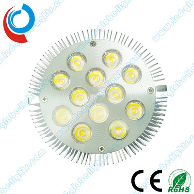 Par38 12w 1000lm AC 110v, 230v, 250v High 12w Brightest LED Light, Spotlight Bulbs