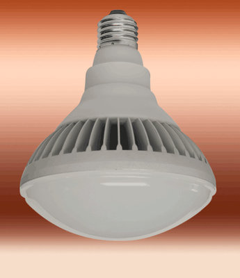 Outdoor Waterproof 2200lm 20W Par LED Bulbs E26 / E27 with PSE Approved