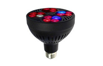 Dimmable 35W Grow Par Cans Lighting Cree 45mil Par30 3 Years Warranty