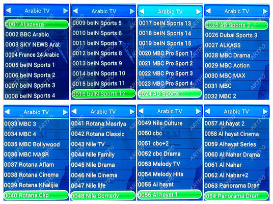Smart TV Arabic IPTV Set Top Box Android Network Player , Live Sky Sports beIN MBC Melody HBO FOX