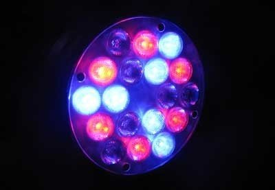 RGB LED Moving Head Lights , DMX 512 LED Mini Moving Head Wash 18X3W