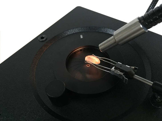 Gem Microscope with Excellent Microscope Head and lighting system