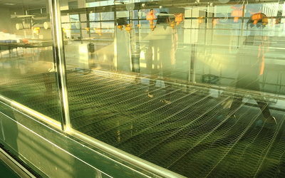 April-day America(Shenzhen) Limited factory production line