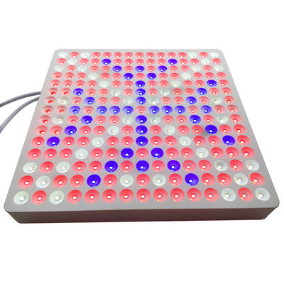 Super Penetration Horticulture LED Lights With Power Line And Chaining