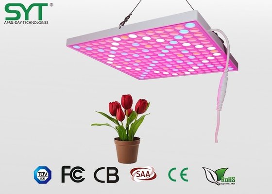 High Intensity Fluorescent Grow Lights , No Radiation Indoor Grow Lights For Vegetables