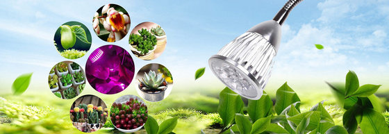 Flexible Swan Neck 10W Dual Head LED Grow Light Aluminum alloy body