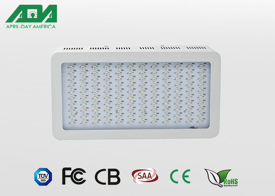 300W Agriculture LED Lights Full Spectrum UV IR Working 16 Hours A Day Replace Of HPS MH