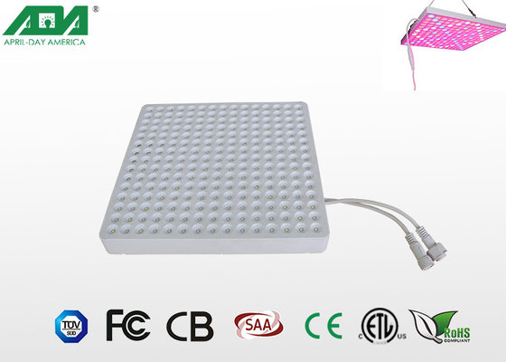 DC32-45V Full Spectrum LED Growing Light / Led Hydroponic Grow Light