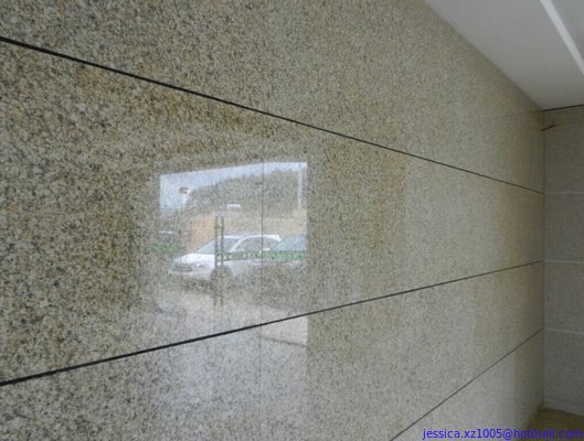 Golden Rusty Pearl Granite Chinese Natural Yellow Granite Tile Rusty Stone G682
