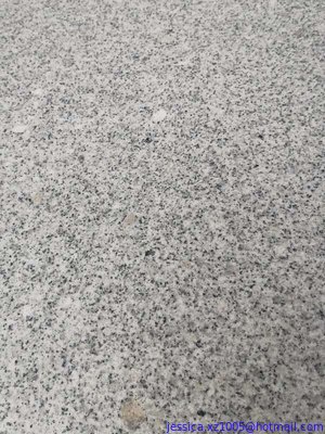 Wholesale Light Grey Granite Tile China Grey Granite Stone Polished G603 Slab