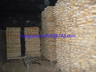 Shandong Pangu Industrial Co.,Ltd