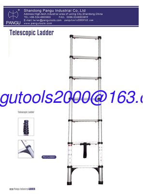 Single Side Aluminum Telescopic ladder, 7, 9, 10, 11, 13 step