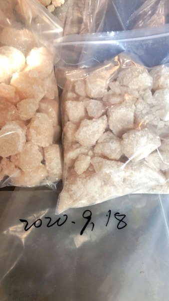 China best Biotechnology on sales