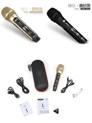 Singer vocalist Sing karaoke FM wireless microphone Built-in reverberation function