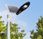 Waterproof Solar Led Street Lamp / Solar Energy Street Lights Auto Intensity Control