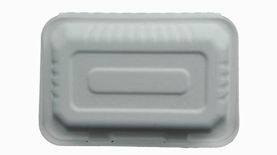 9" biodegradable sugarcane fiber clamshell disposable bagasse food box