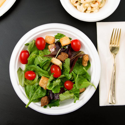 9inch Round Sugarcane plate unbleached biodegradable bagasse pulp plates without compartment