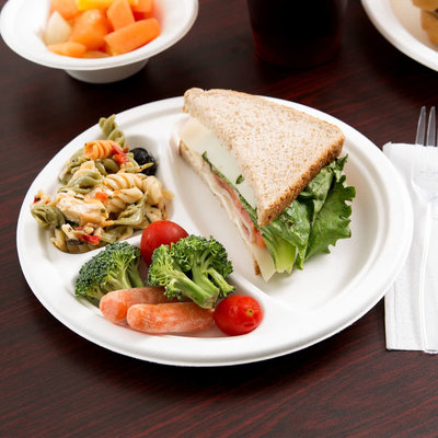 9inch 3 compartment sugarcane bagasse pulp plate unbleached 100% biodegradable tray
