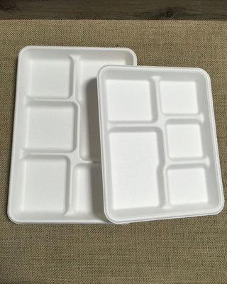 10inch 100% biodegradable bagasse plate square compostable sugarcane plate
