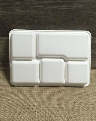Disposable 5 compartmernt bagasse tray biodegradable sugarcane plate