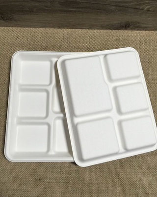 Disposable 5 compartmernt bagasse tray biodegradable sugarcane plate