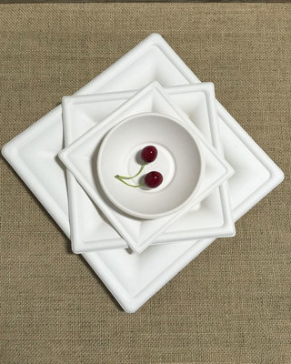 Disposable 5 compartmernt bagasse tray biodegradable sugarcane plate