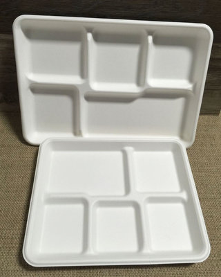 Disposable 5 compartmernt sugarcane tray biodegradable bagasse plate or tray