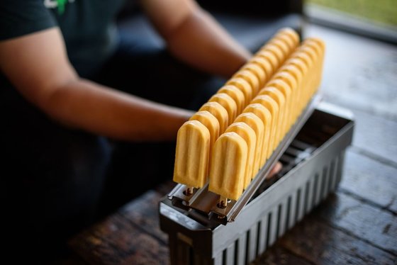 Frozen mold ice lolly mold ice cream mould ice cream mold manual type supplier
