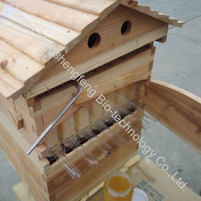 Chinese honey flow hive factory supply complete automatic flow hive kit and beehive price 7 pcs honey flow beehive