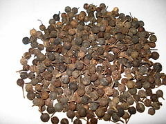 Java Pepper Extract, Java Pepper Powder, Piper cubeba powder, Chinese manufacturer, High quality