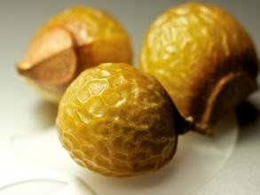 Soapnut extract, Soapnut Saponins 40%-70% UV, Ingredients for washes, Chinese Manufacturer, Shaanxi Yongyuan Bio