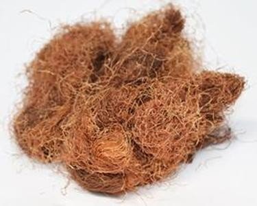 Corn Silk Extract, 10:1 , 5% Beta-sitosterol, high quality, Chinese manufacturer, Shaanxi Yongyuan Bio-Tech