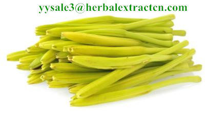 Hemerocallia Fulva extract, Hemerocallis citrine Extract, 10:1 TLC,  Manufacturer, Shaanxi Yongyuan Bio-Tech