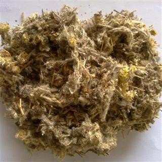 Cudweed Herb Extract, Gnaphaii Affinis Extract, 4:1, 10:1 TLC, Chinese fmanufacturer, Shaanxi Yongyuan