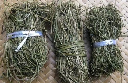 Chinese Fevervine Herb extract, Herba Paederiae Extract, 10:1 TLC, TCM Extract, Chinese fmanufacturer, Shaanxi Yongyuan