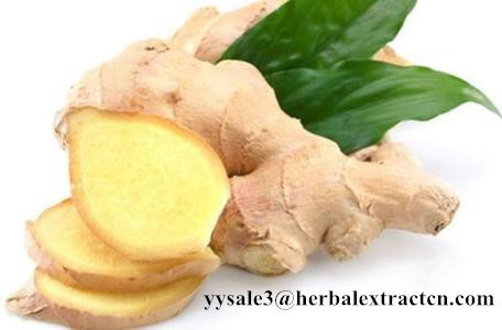 Ginger Extract,Gingerol 5%, CAS No.: 1391-73-7, water soluble Gingerol, food ingredient, factory  Shaanxi Yongyuan Bio